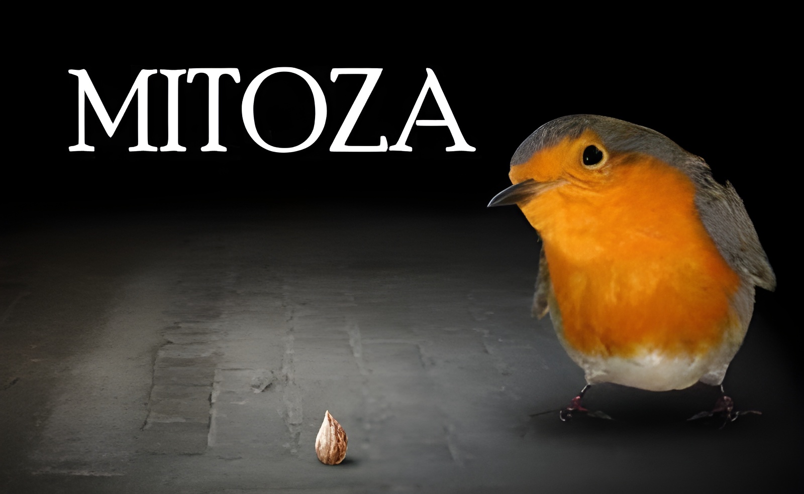 Mitoza 🕹️ Play now on HahaGames